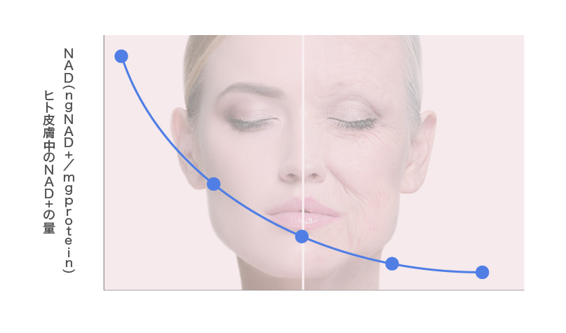 WBNO | 完全合成法で製造されたβ-NMN