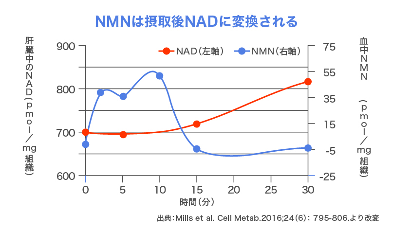 WBNO | 完全合成法で製造されたβ-NMN