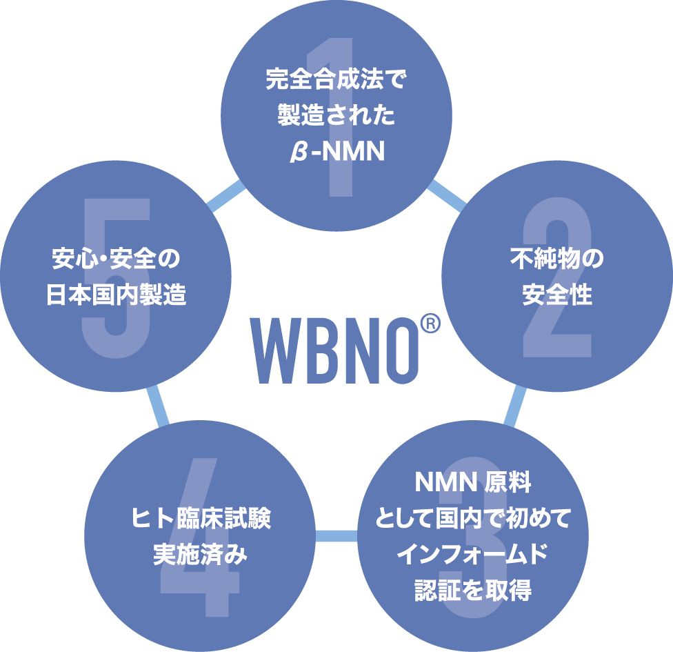 WBNO | 完全合成法で製造されたβ-NMN